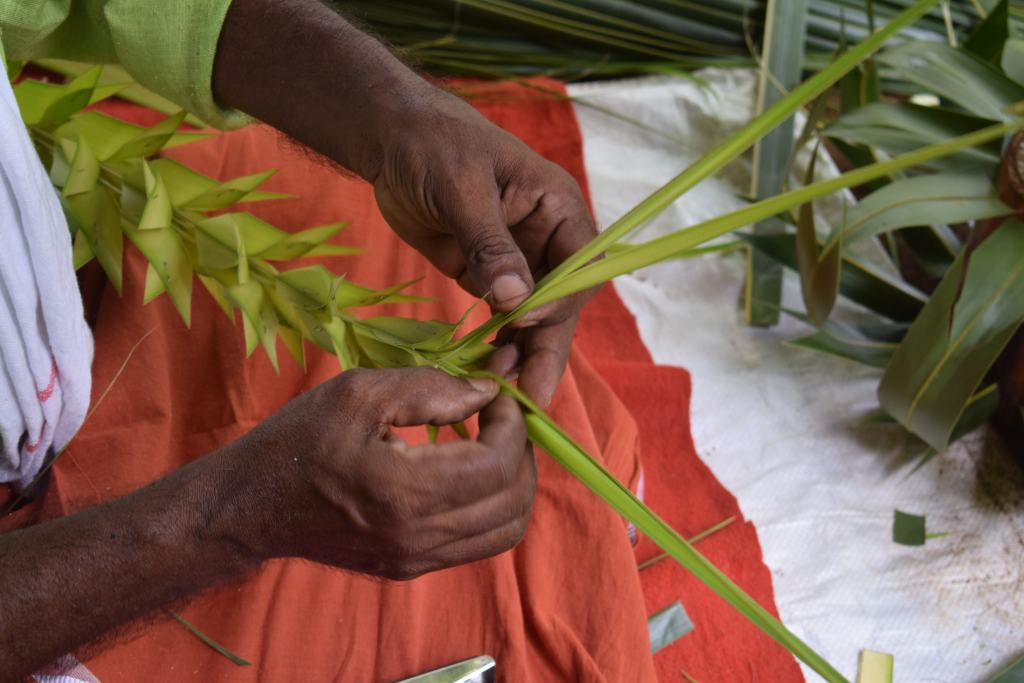 Kuruthola: the art of weaving green coconut fronds - PARI Education