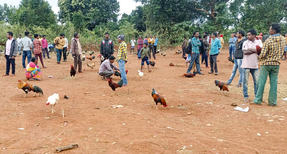Fair and fowl at Kadakala haat - PARI Education