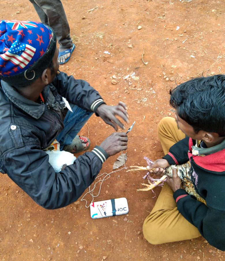 Fair and fowl at Kadakala haat - PARI Education